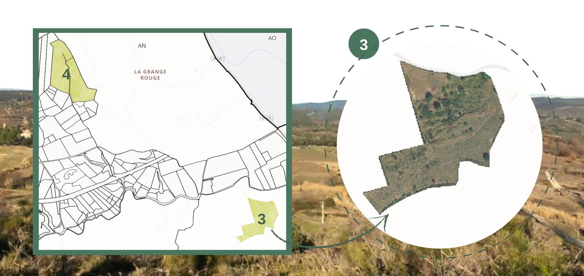 Plantation Maps - moulin-des-arbres